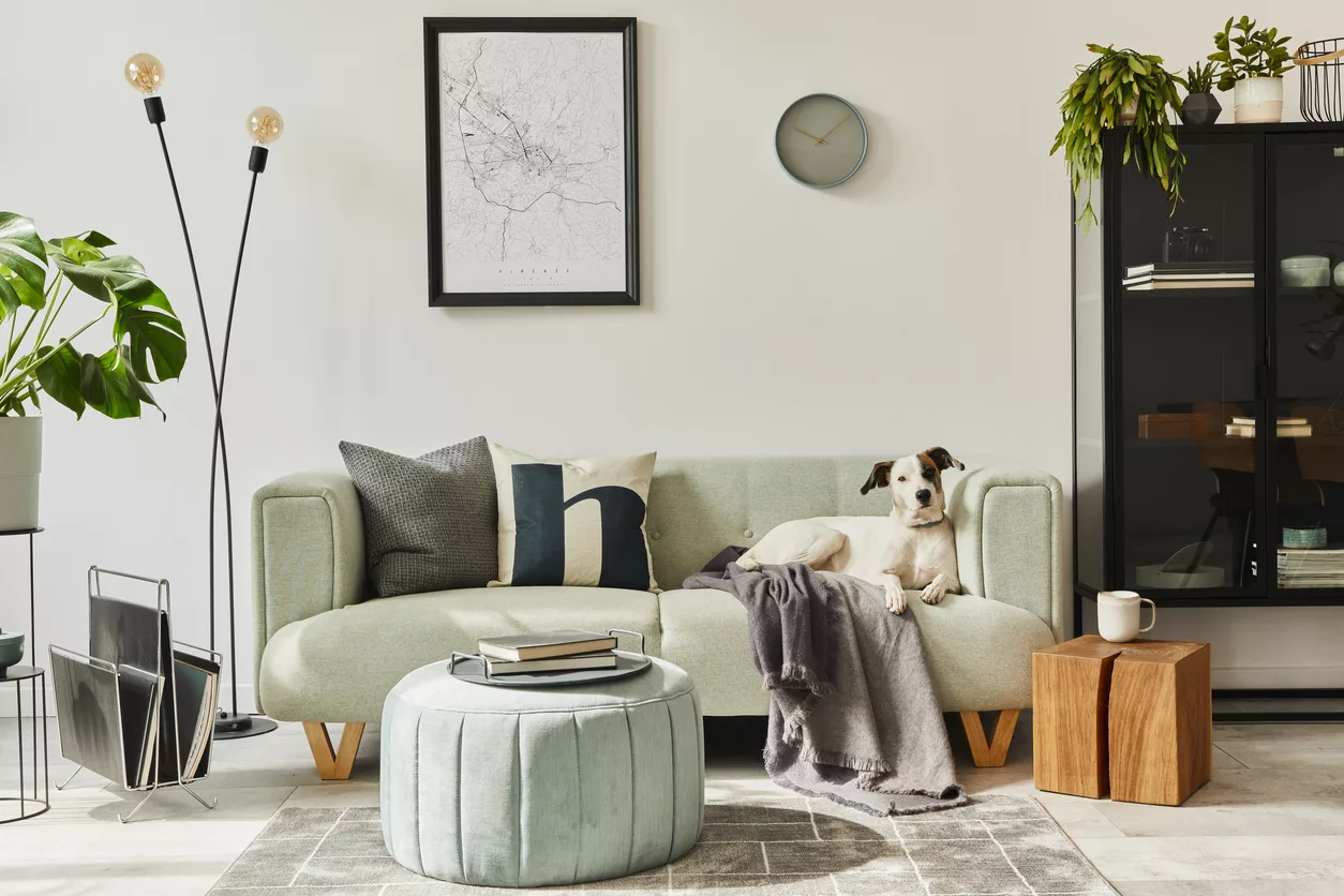 Apartment Living with a Barking Dog? Here’s How to Keep the Peace ...